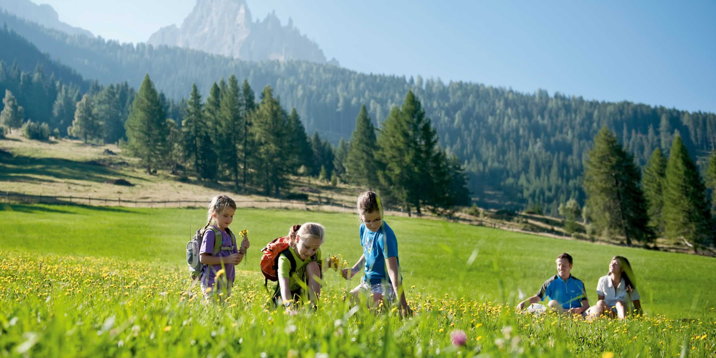 Escursioni Dolomiti Hote Albergo Catinaccio Latemar